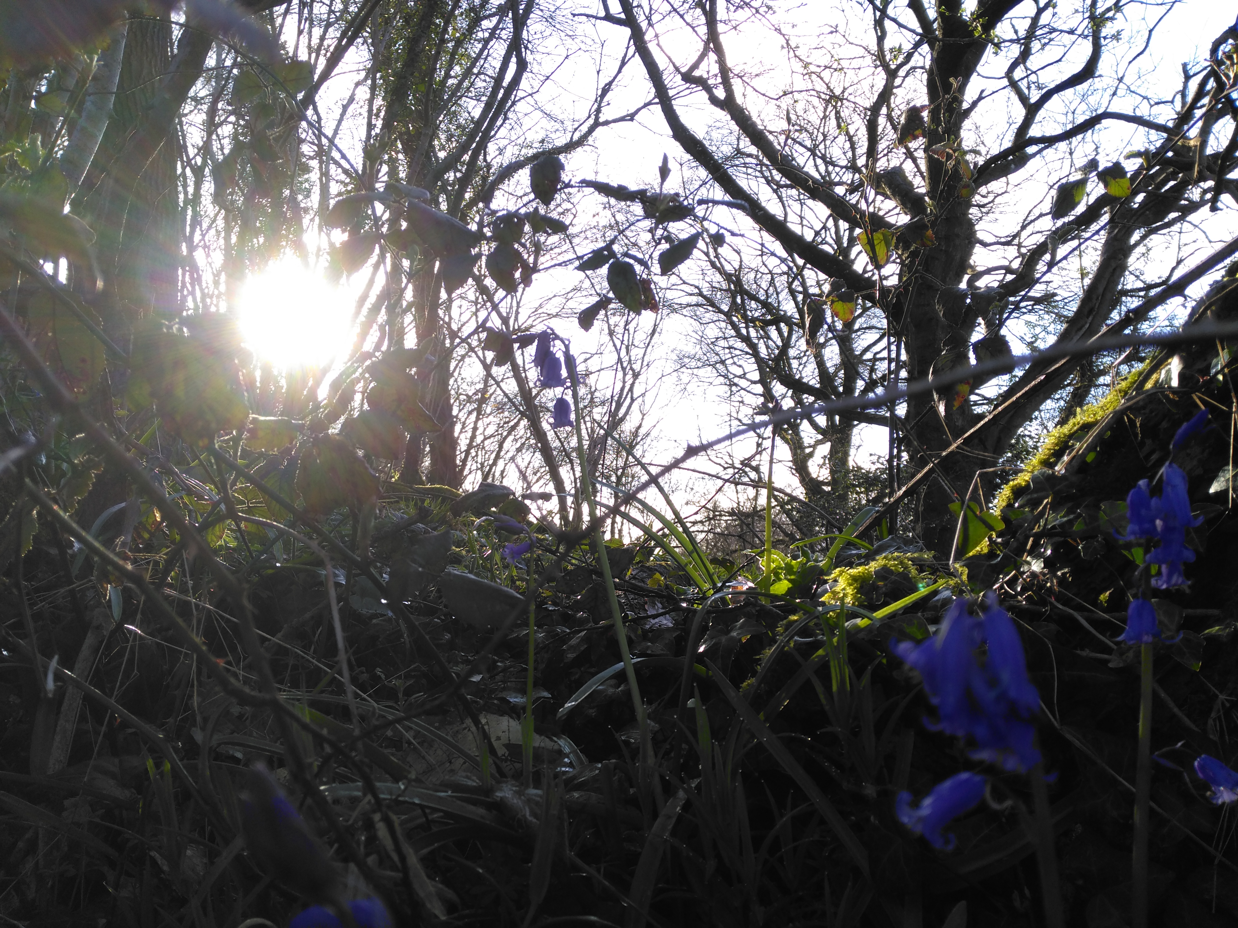 Spring has sprung – Nest and Glow