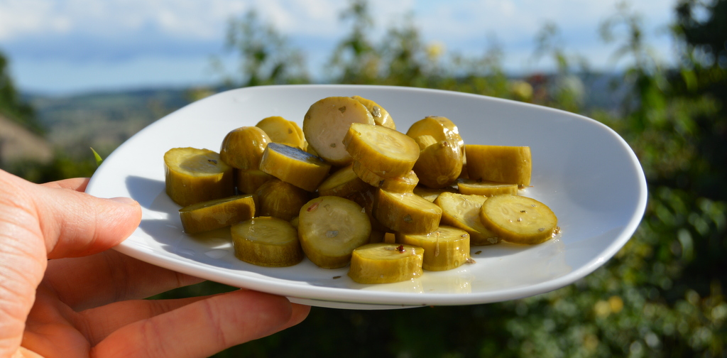 24 Hour Pickles – Nest and Glow