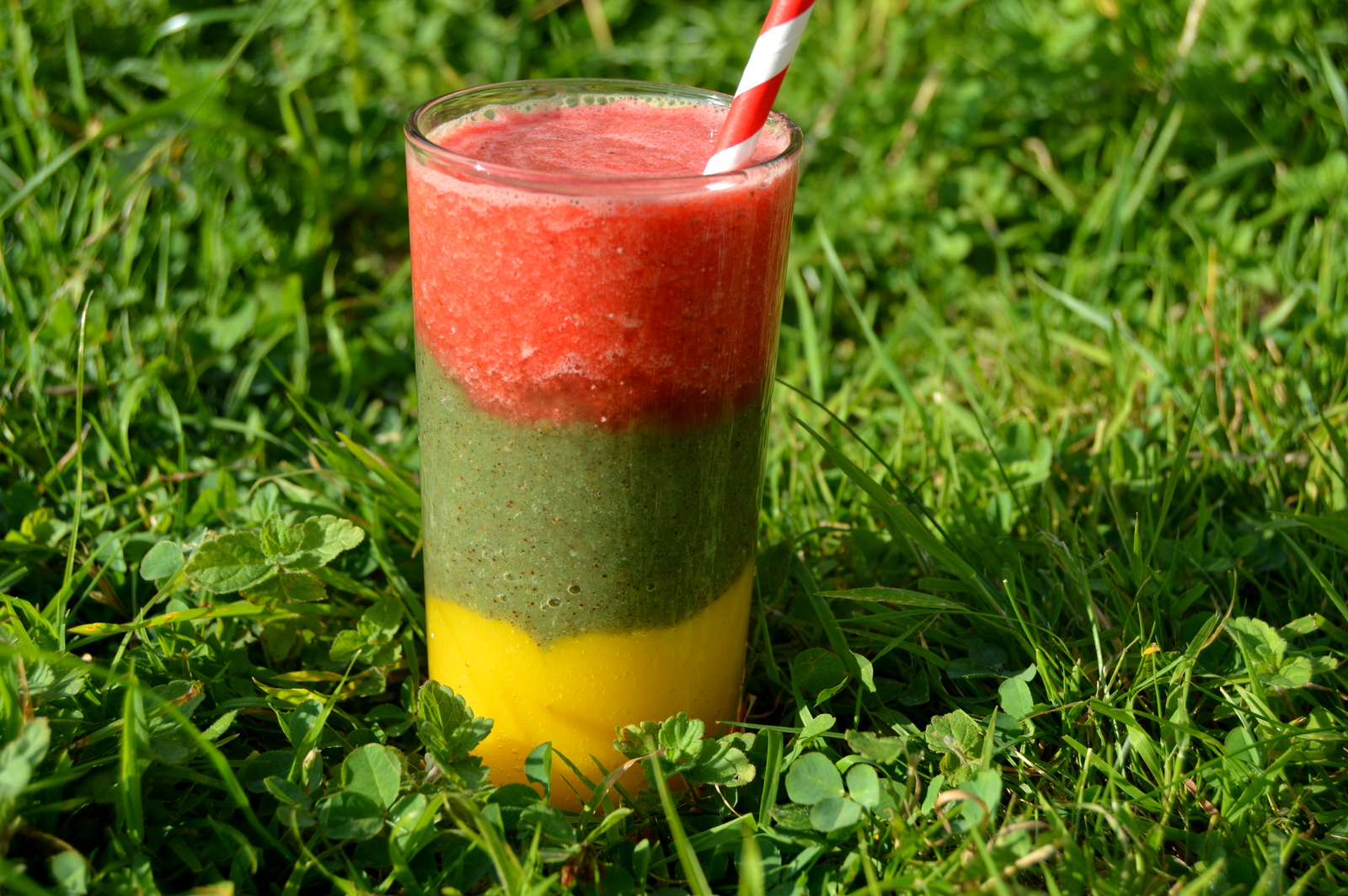 Traffic Light Fruit Smoothie – Kiwi, Mango & Watermelon – Nest and Glow