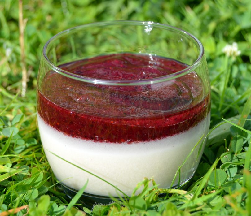 Coconut Vanilla Panna Cotta with Berry Compote – Nest and Glow