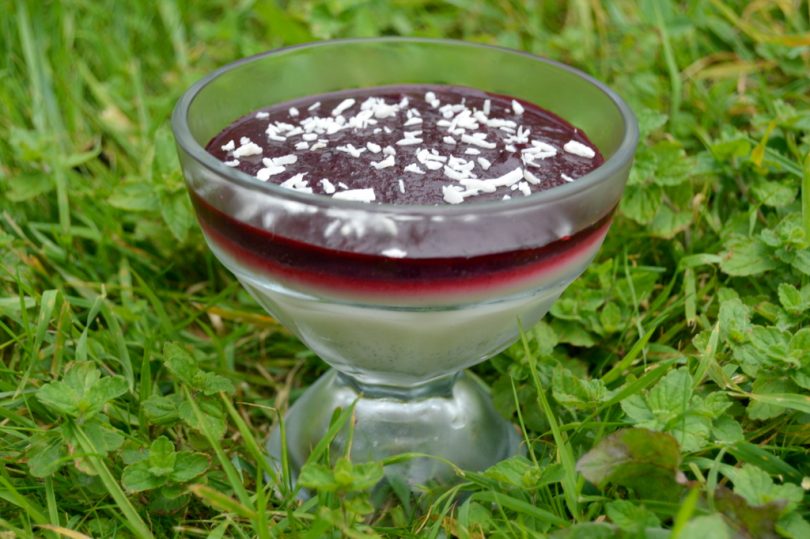 Coconut Vanilla Panna Cotta with Berry Compote – Nest and Glow