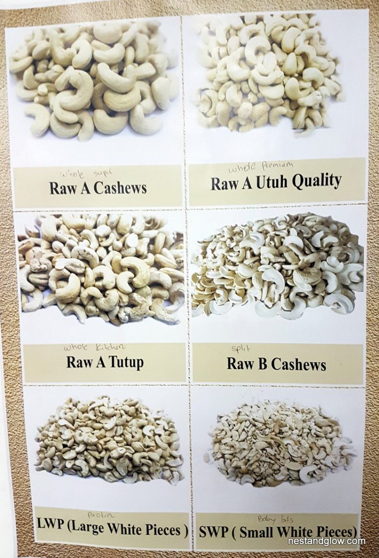 How Ethical Cashew Nuts Are Processed – Nest and Glow