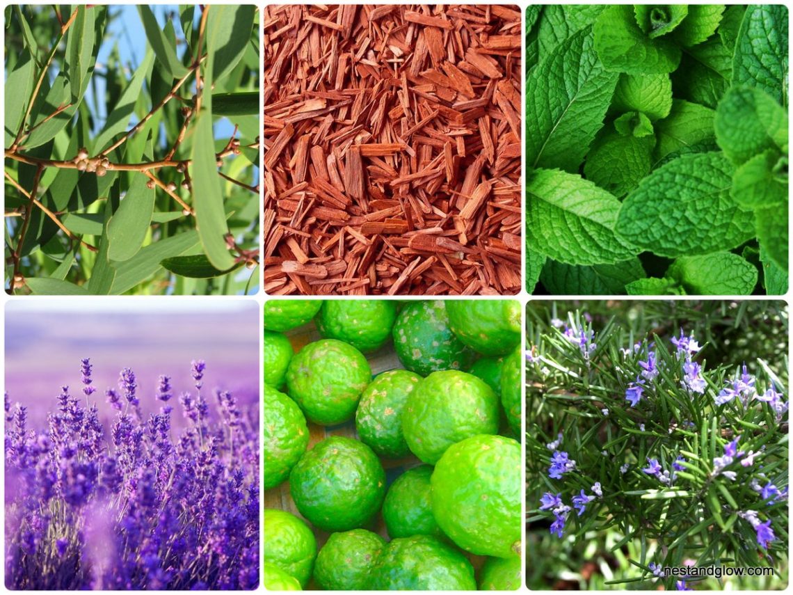 Natural Flavourings and What You Need To Know – Nest and Glow