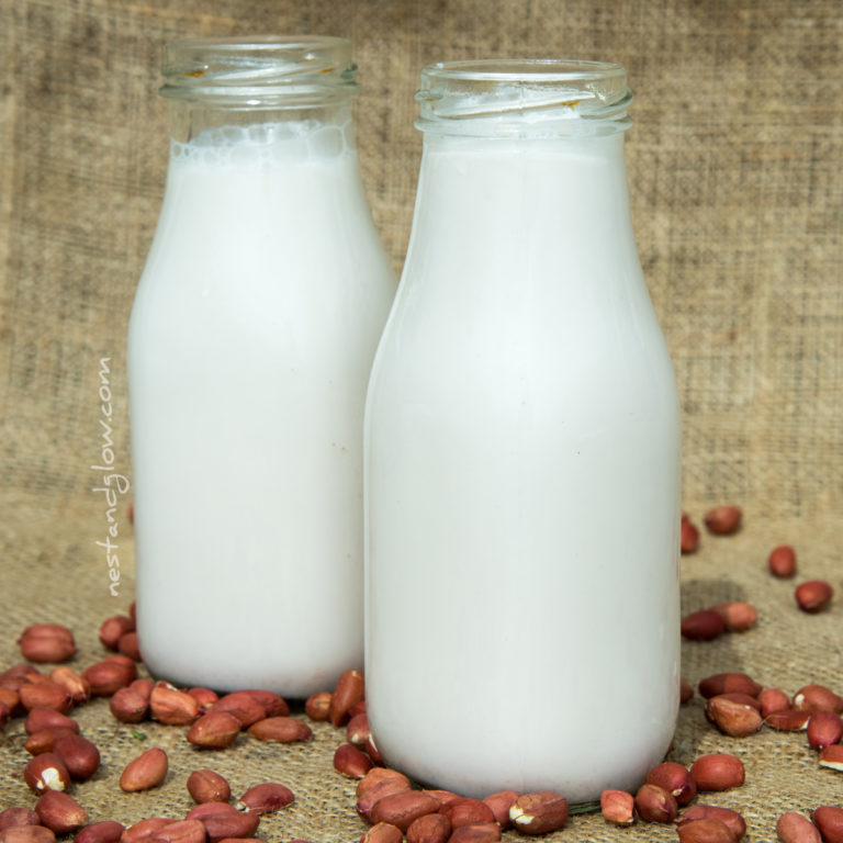 Sprouted Peanut Milk 2-Ingredients – Nest and Glow