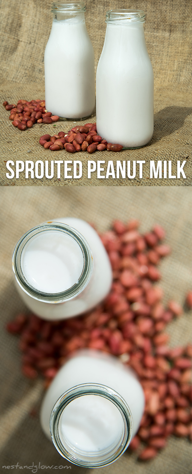 Sprouted Peanut Milk 2-Ingredients – Nest and Glow