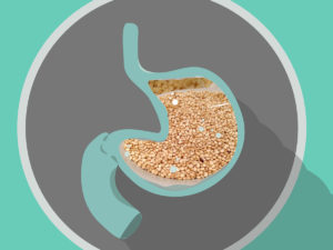 Time to Digest Foods and Why It’s Important – Nest and Glow