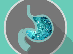 Time to Digest Foods and Why It’s Important – Nest and Glow