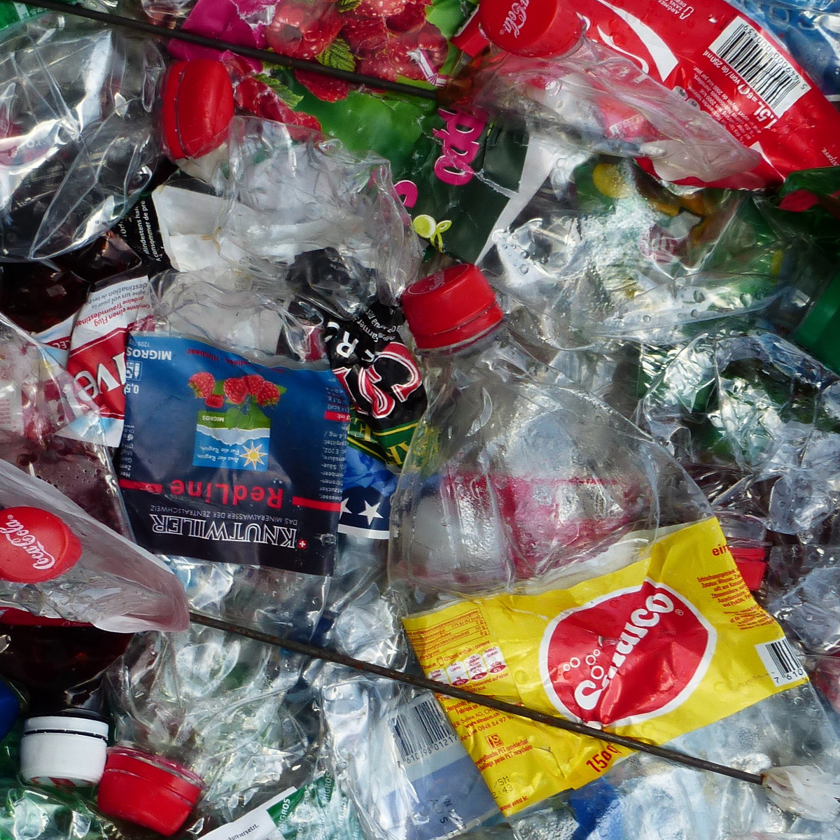 8 Everyday Foods That Contain Plastic and Safe Alternatives