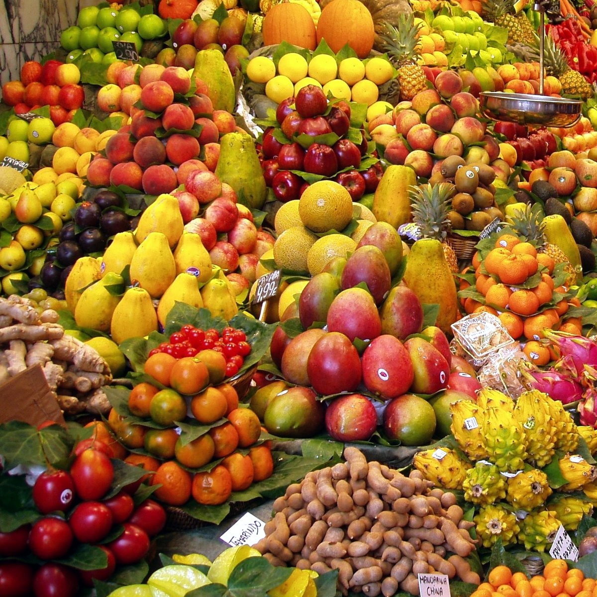 The 9 Human Tastes – Nest and Glow