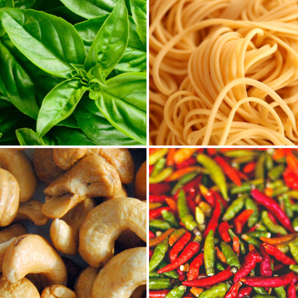 The 9 Human Tastes – Nest and Glow