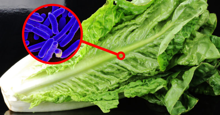 Why Pre-Washed Salad Bags Aren’t Healthy – Nest and Glow