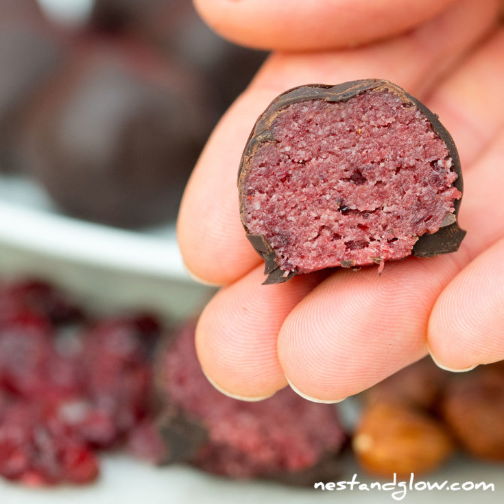 3 Ingredient Cranberry Chocolate Candy – vegan + healthy – Nest and Glow